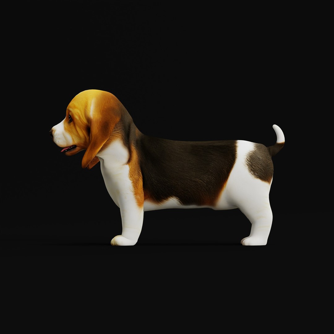 3D Basset Hound Puppy Dog Model - TurboSquid 2487023