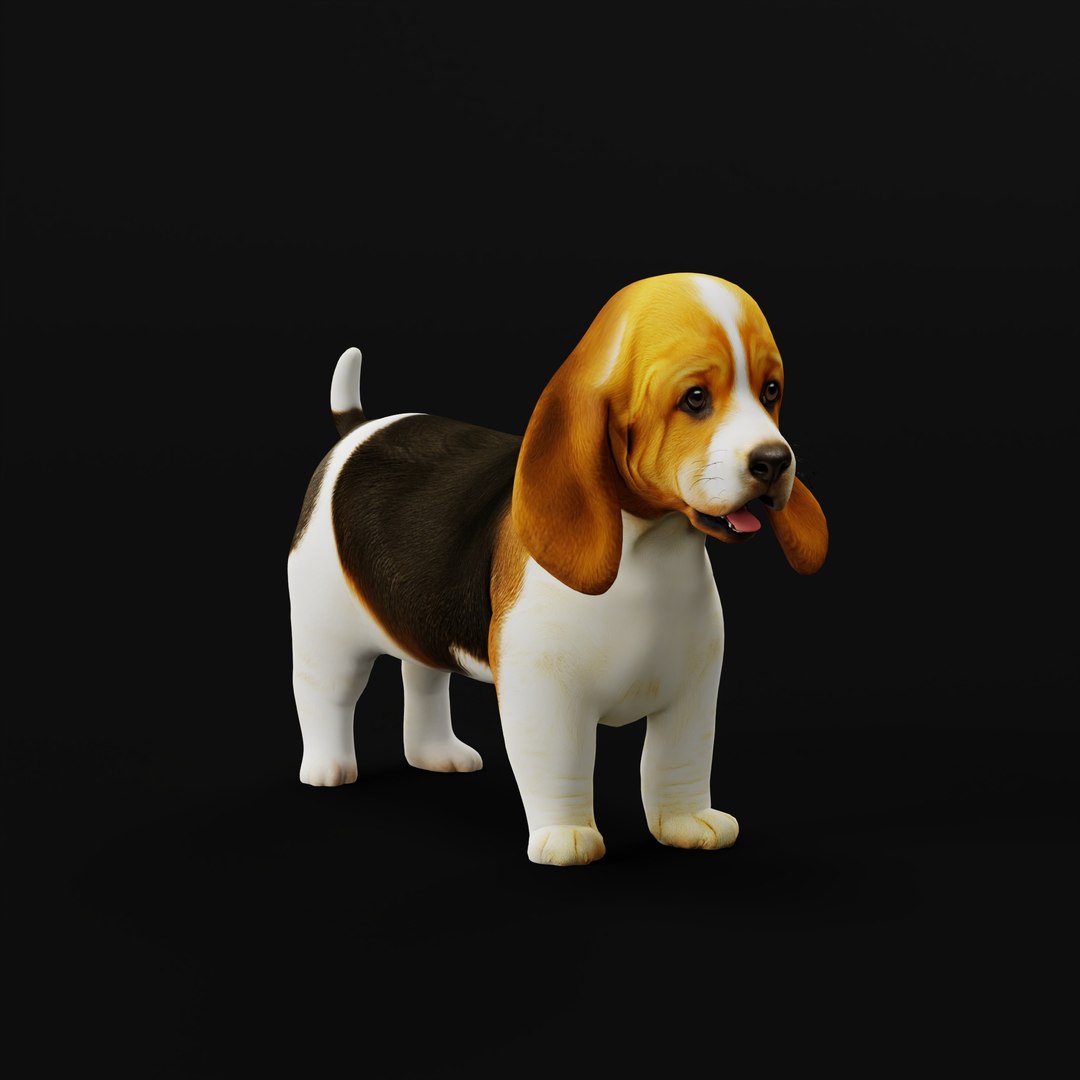 3D Basset Hound Puppy Dog Model - TurboSquid 2487023
