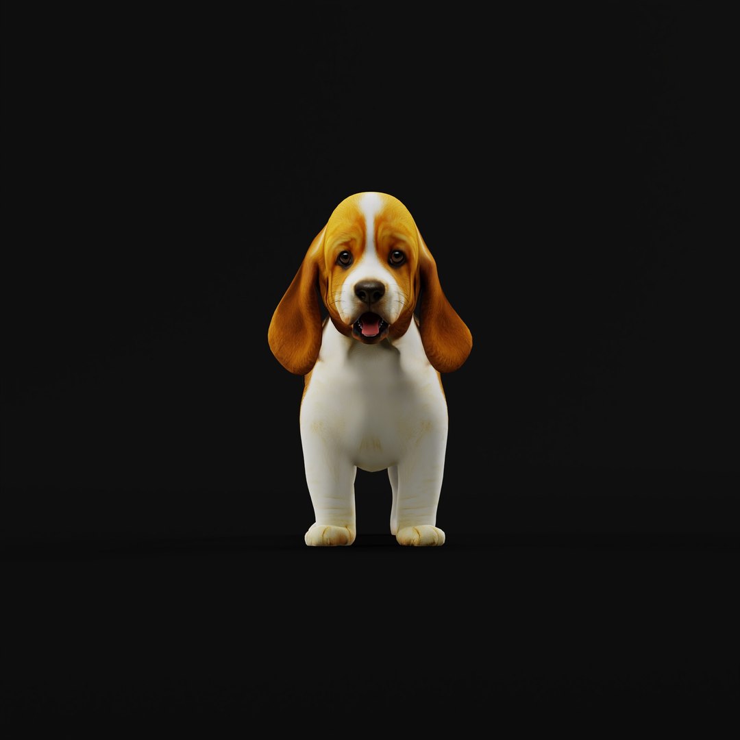 3D Basset Hound Puppy Dog Model - TurboSquid 2487023