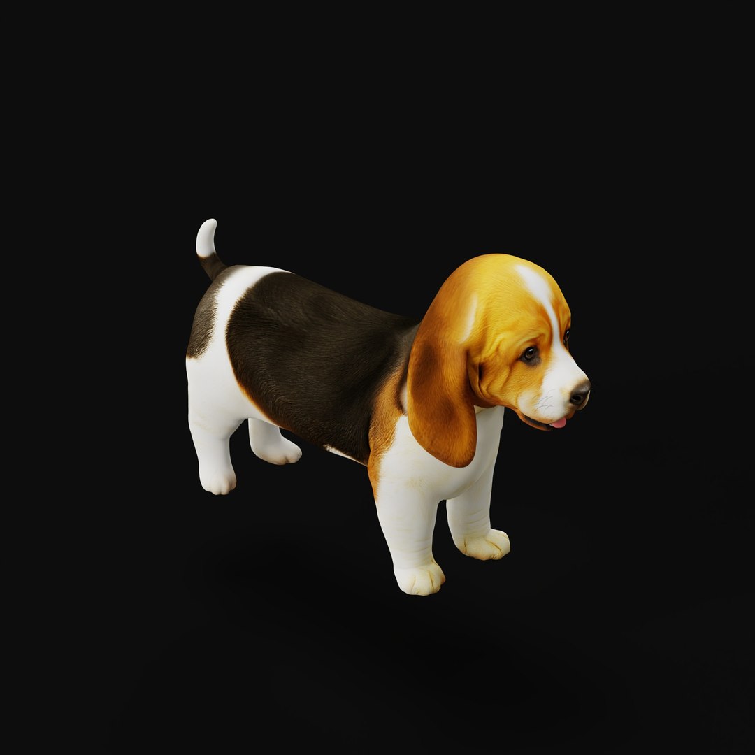 3D Basset Hound Puppy Dog Model - TurboSquid 2487023