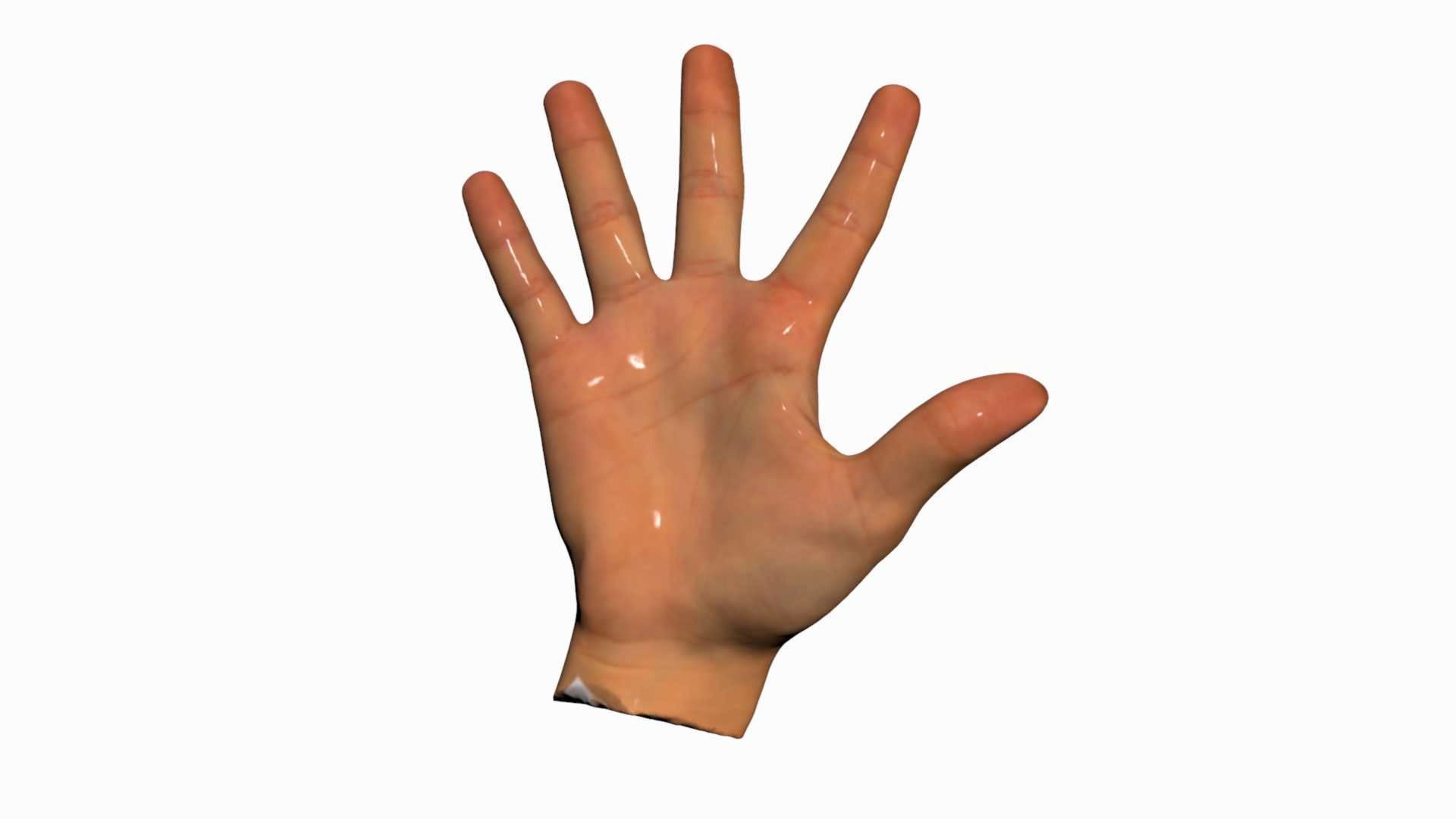 Human Hand 3D Scan High Quality 3D - TurboSquid 1784065