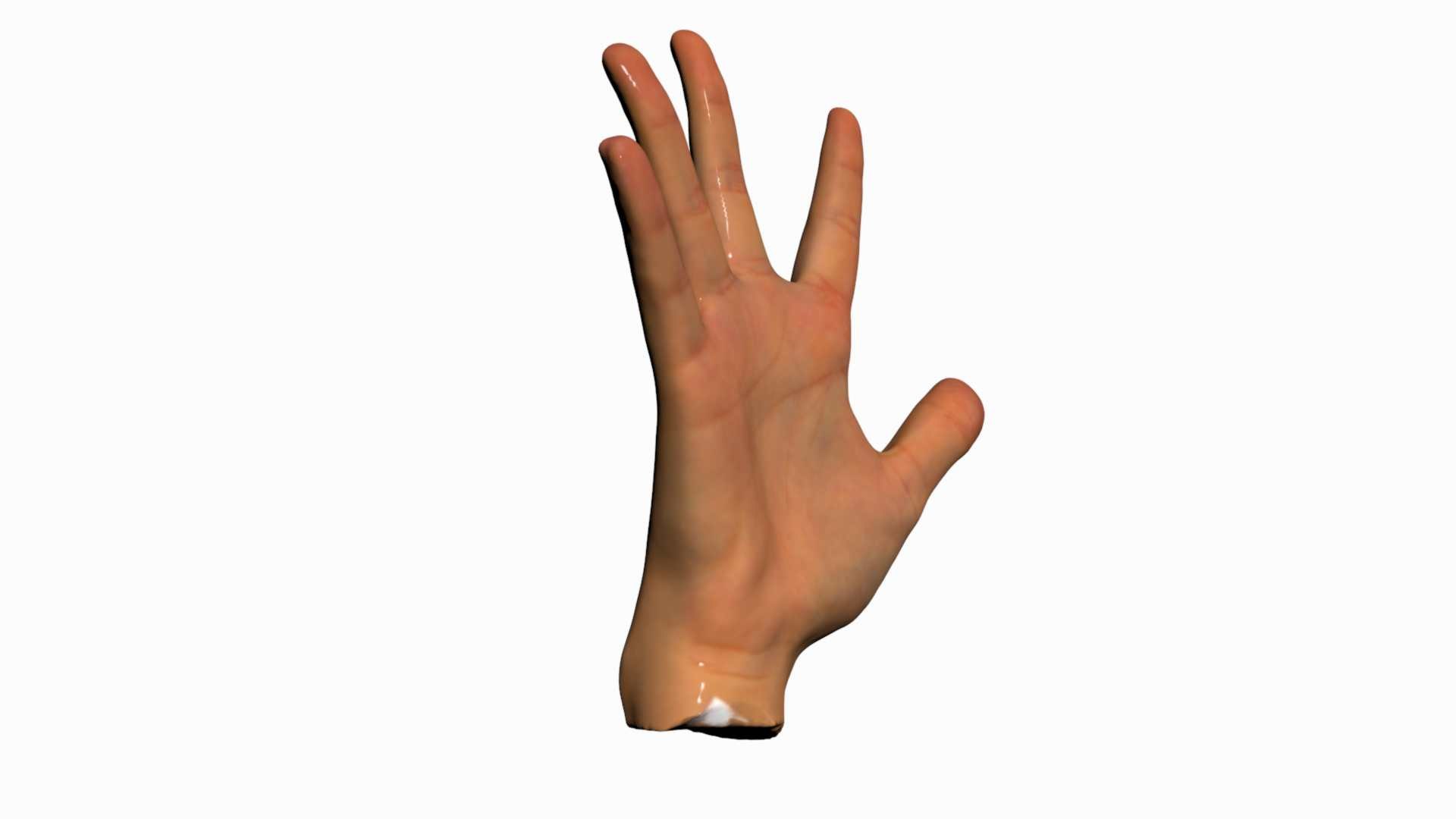 Human Hand 3D Scan High Quality 3D - TurboSquid 1784065