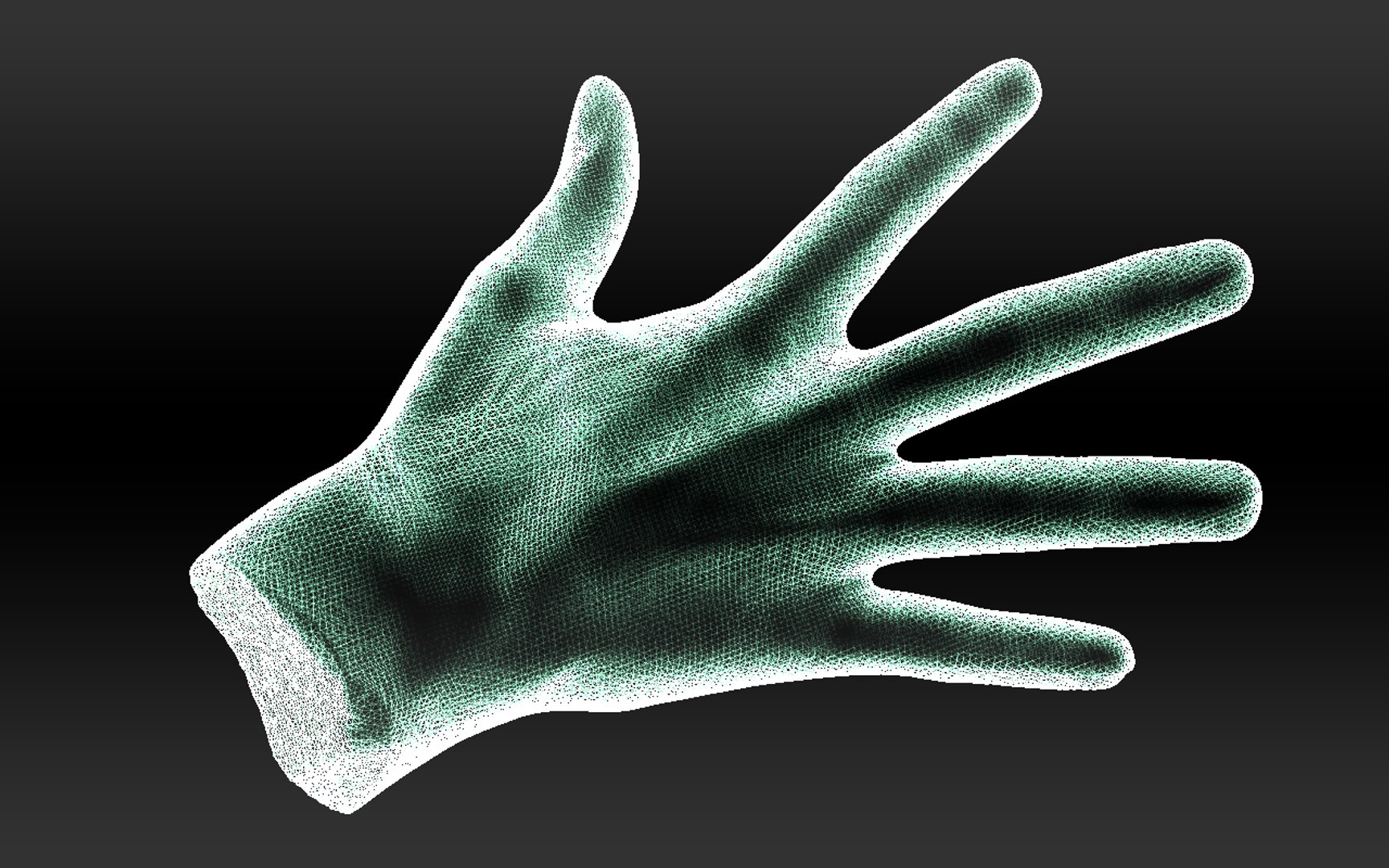 Human Hand 3D Scan High Quality 3D - TurboSquid 1784065