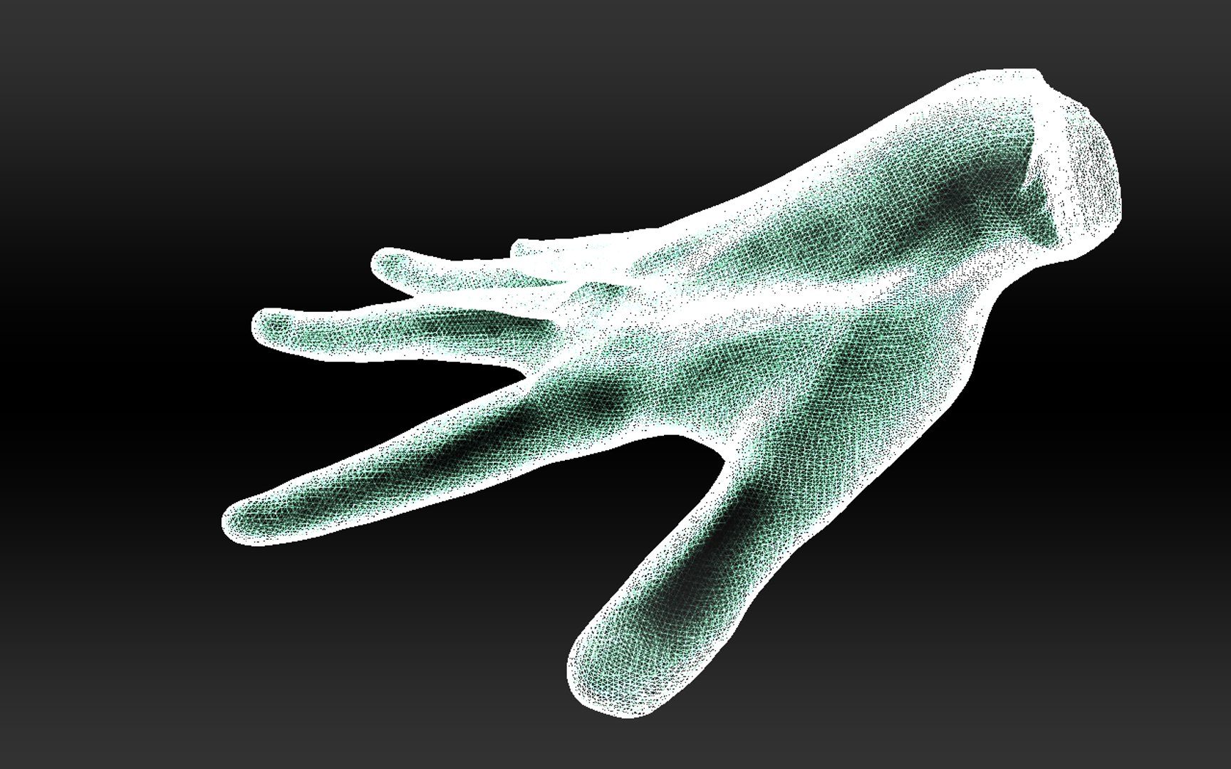 Human Hand 3D Scan High Quality 3D - TurboSquid 1784065