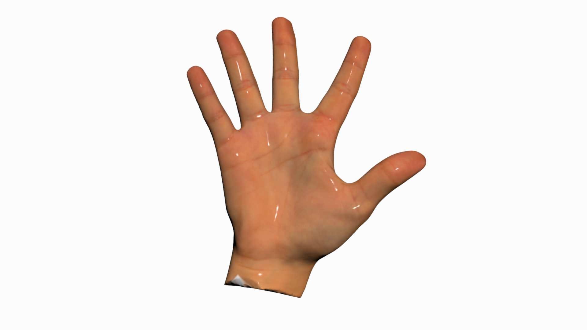 Human Hand 3D Scan High Quality 3D - TurboSquid 1784065