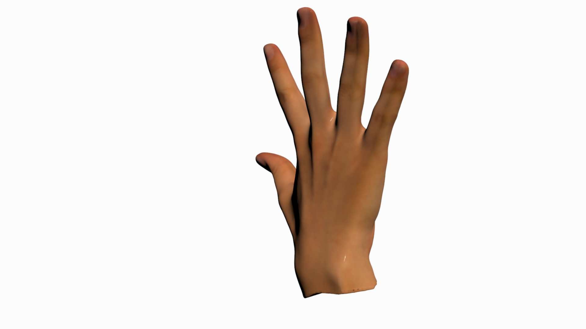 Human Hand 3D Scan High Quality 3D - TurboSquid 1784065
