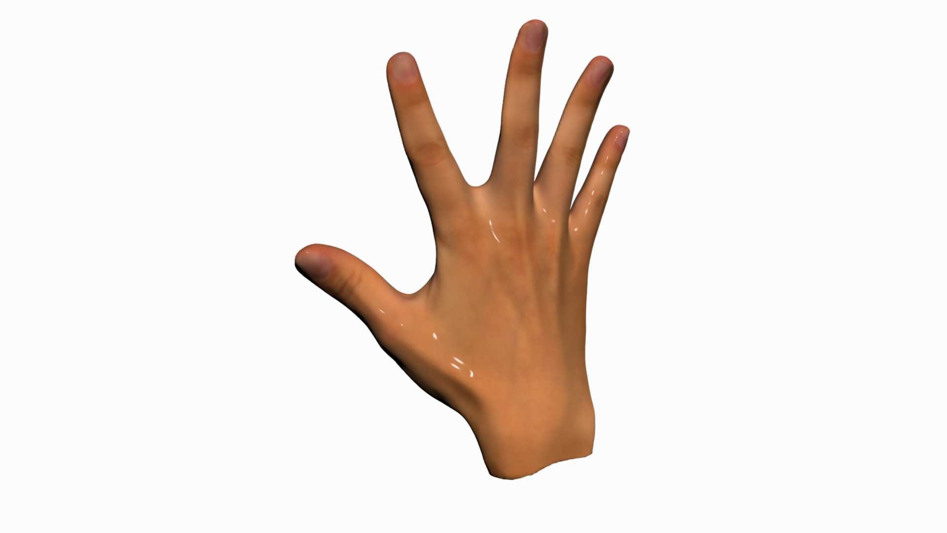 Human Hand 3D Scan High Quality 3D - TurboSquid 1784065