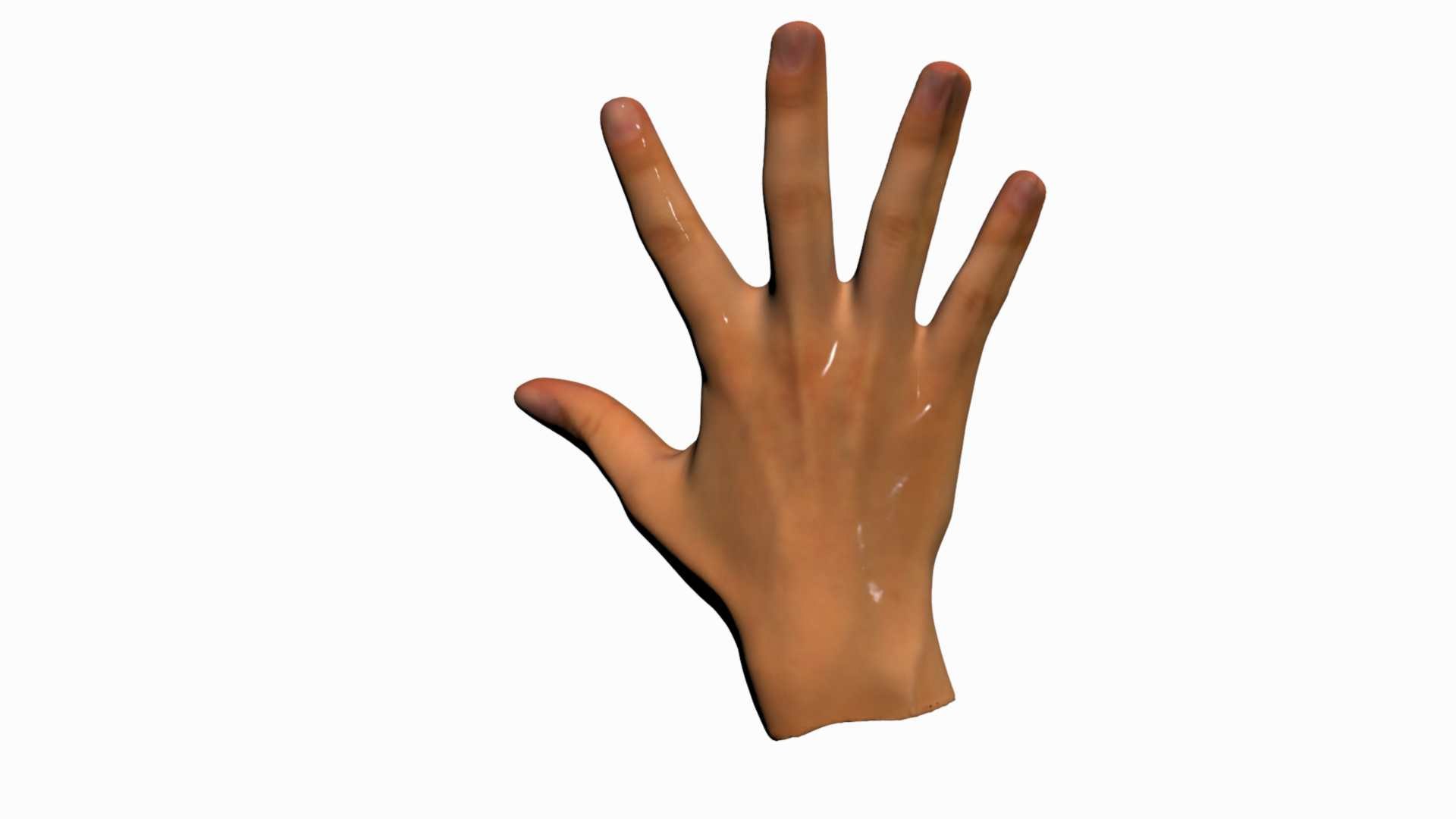 Human Hand 3D Scan High Quality 3D - TurboSquid 1784065