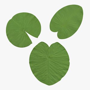 water lily leaf obj