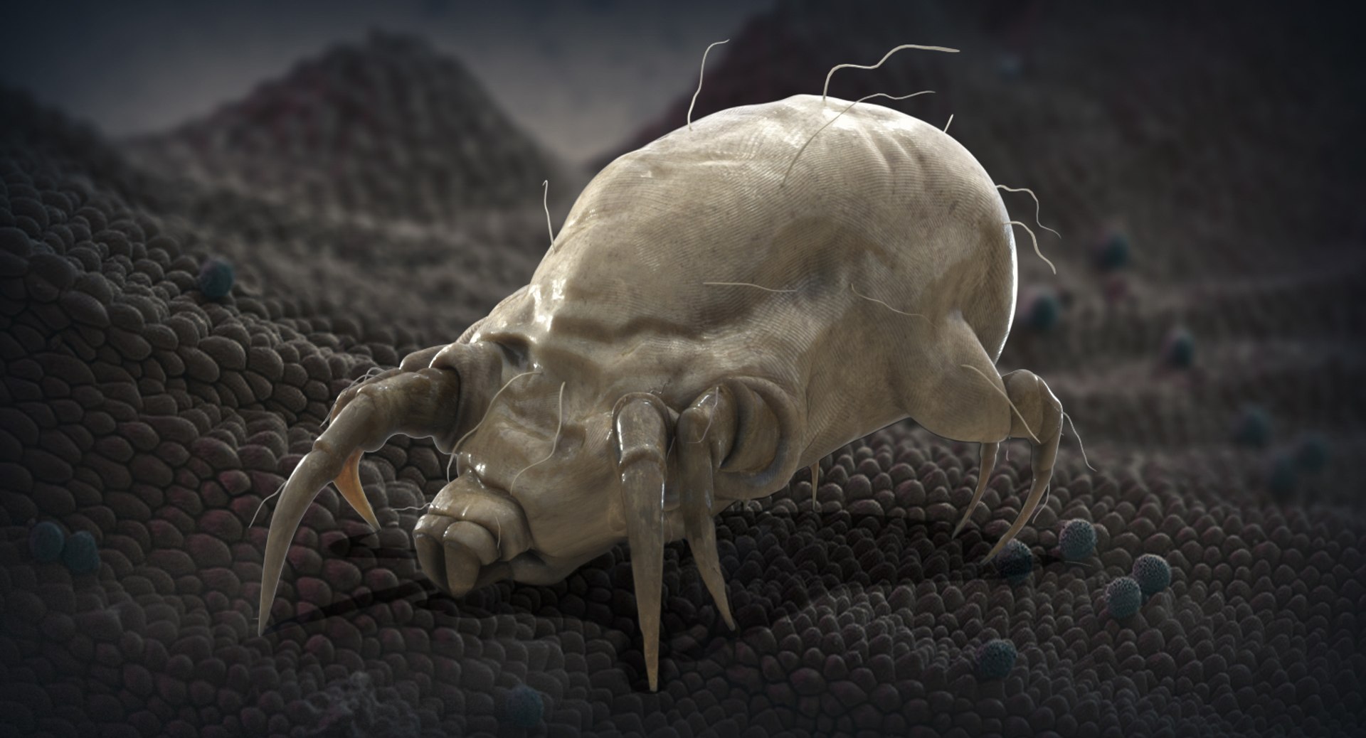 3d Model Dust Mite