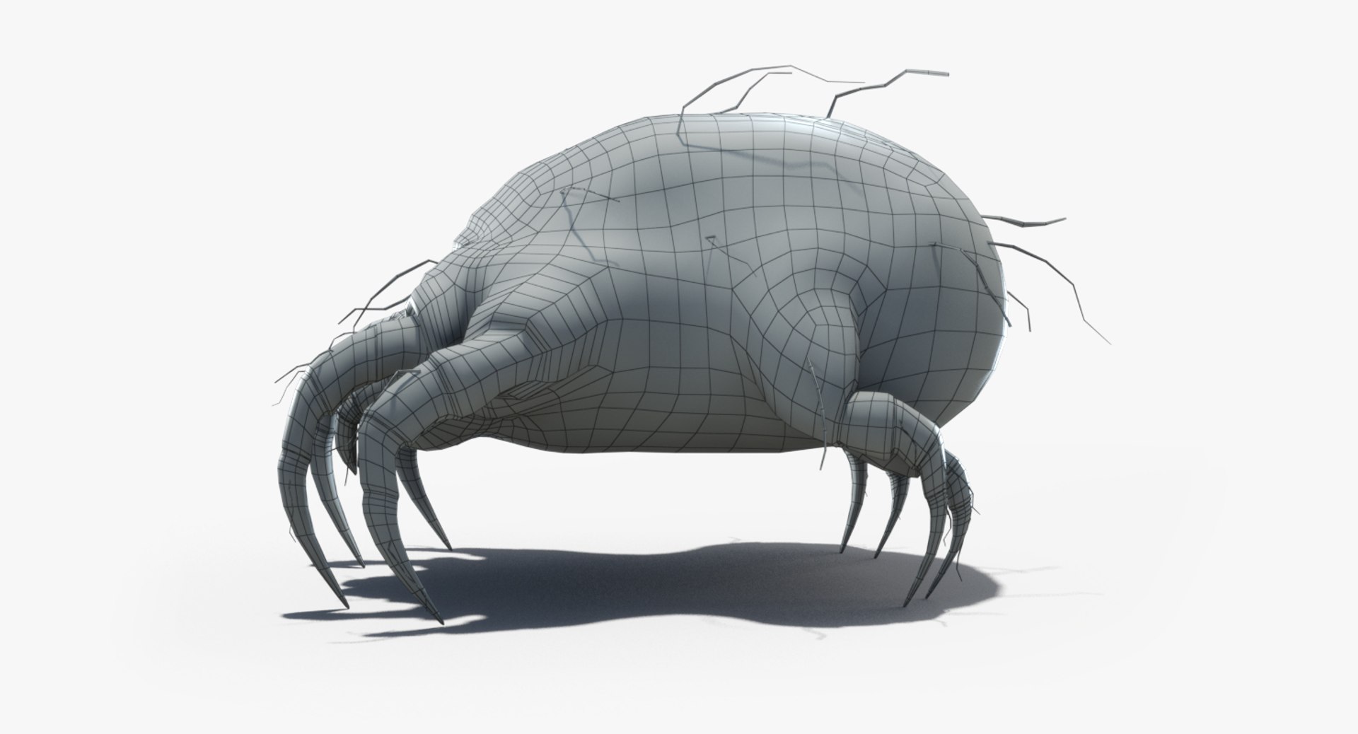 3d Model Dust Mite