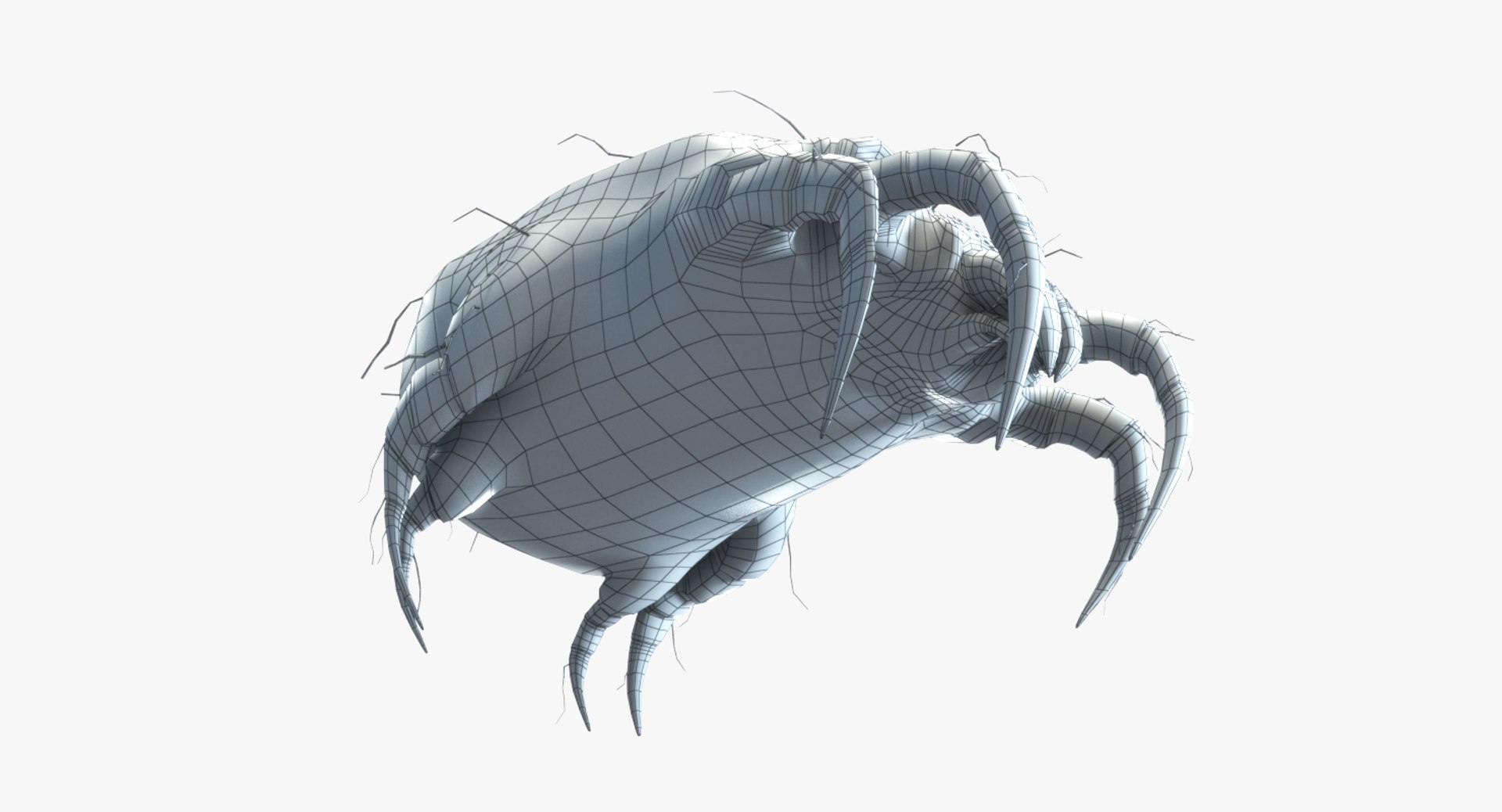 3d Model Dust Mite