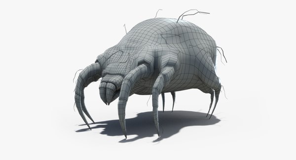 3d model dust mite