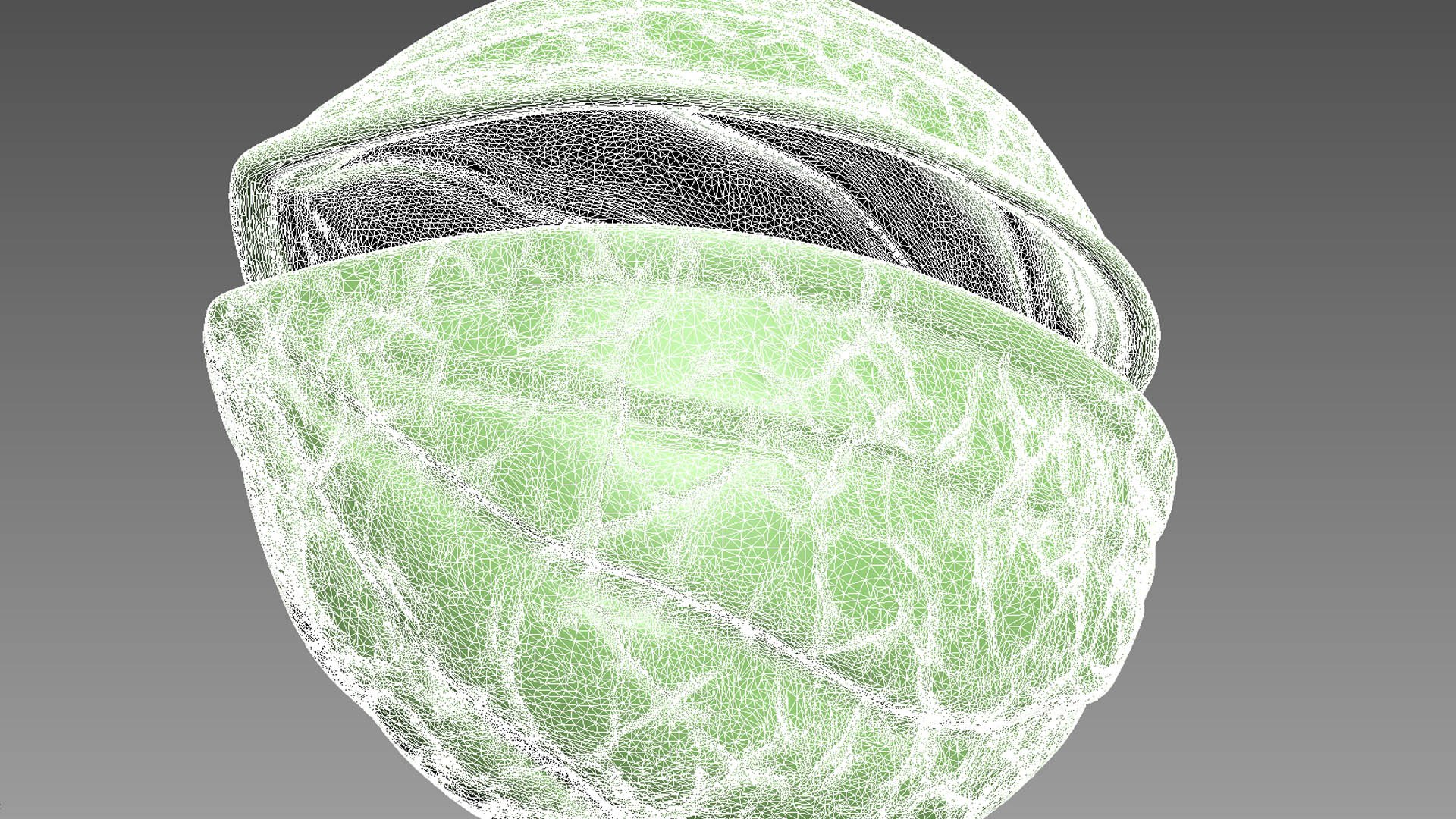 3D Nut Shell - TurboSquid 2129395