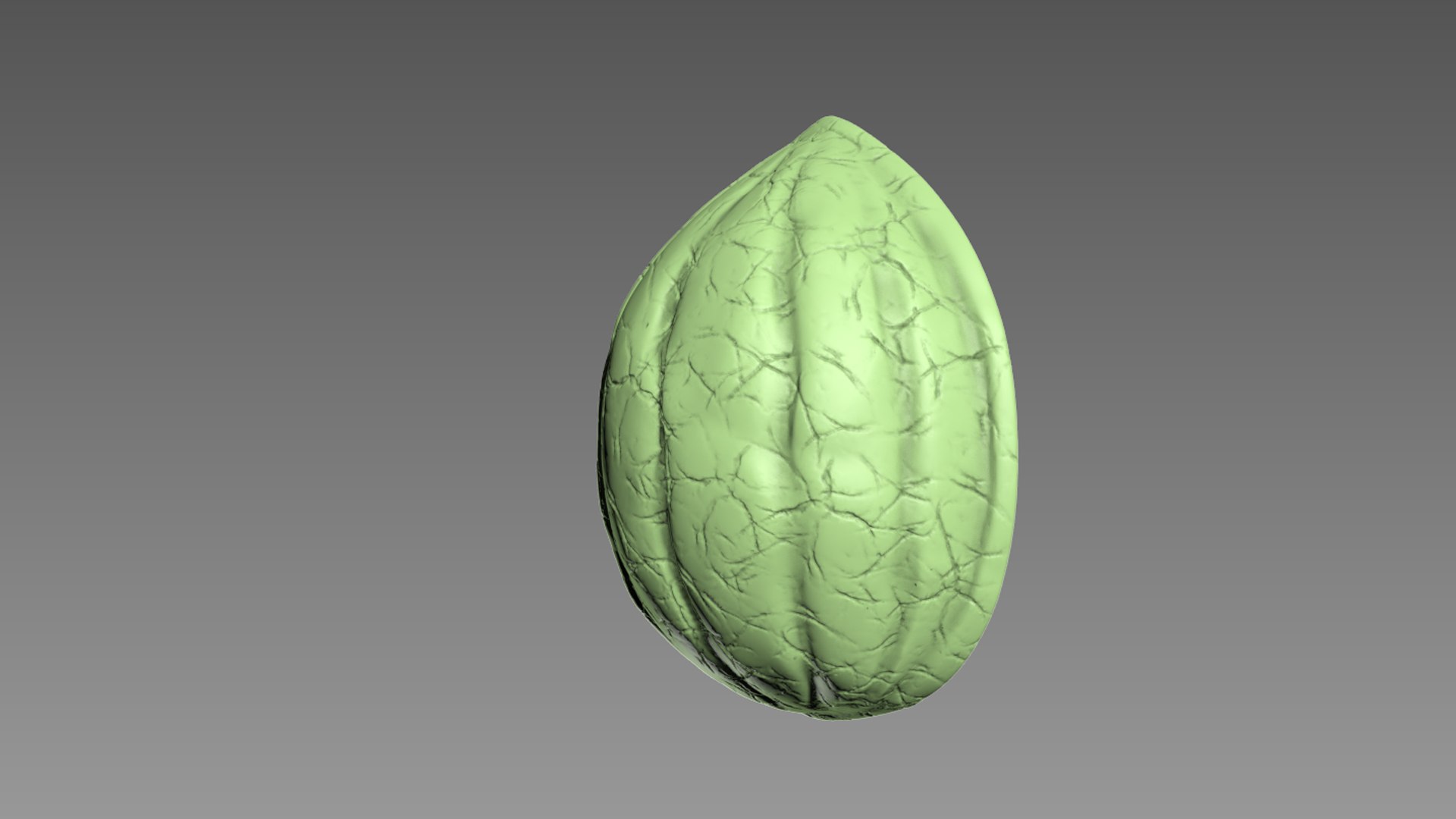 3D Nut Shell - TurboSquid 2129395