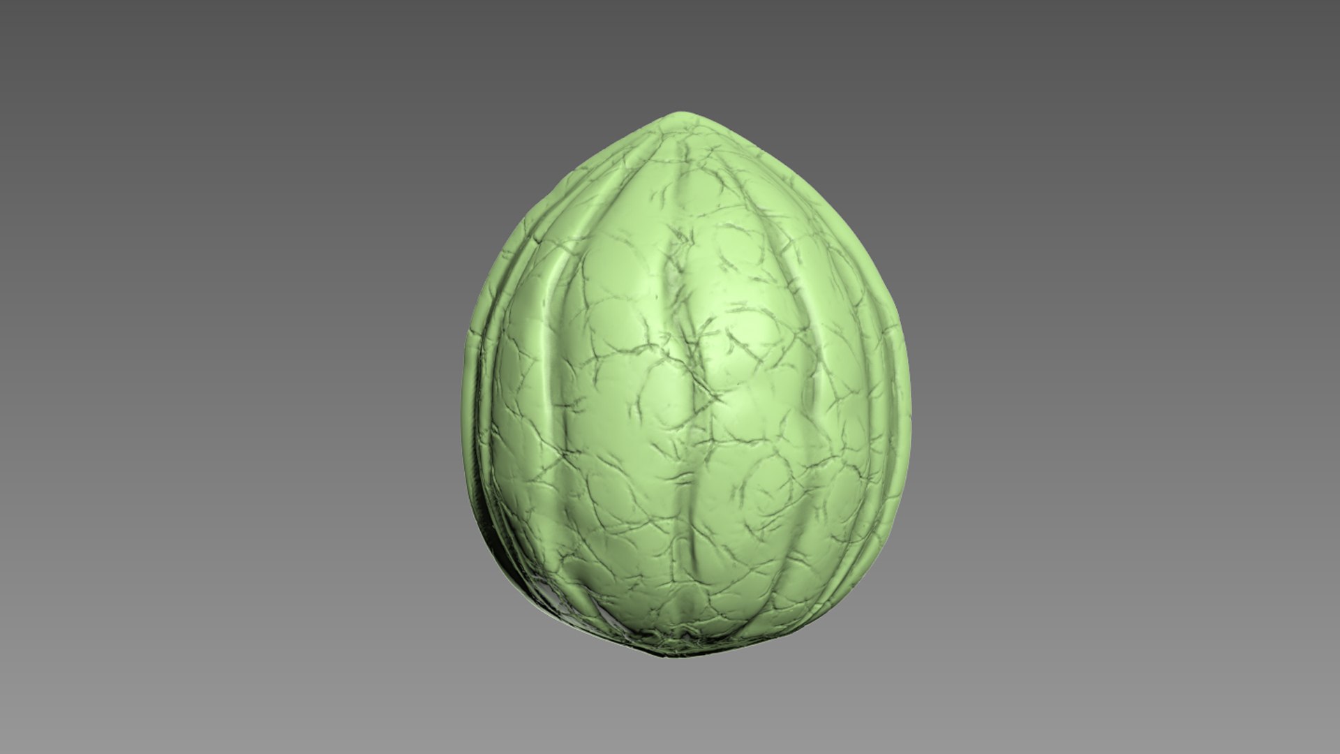 3D Nut Shell - TurboSquid 2129395