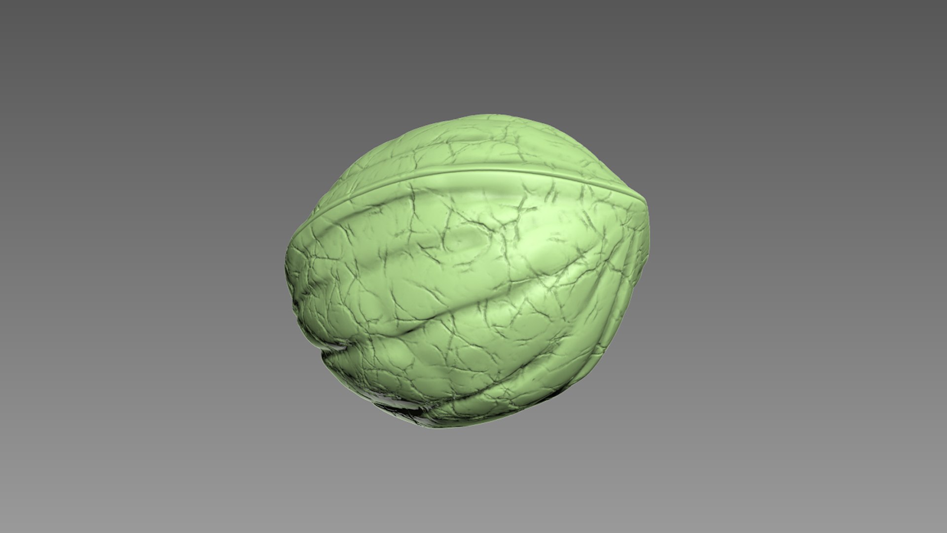 3D Nut Shell - TurboSquid 2129395