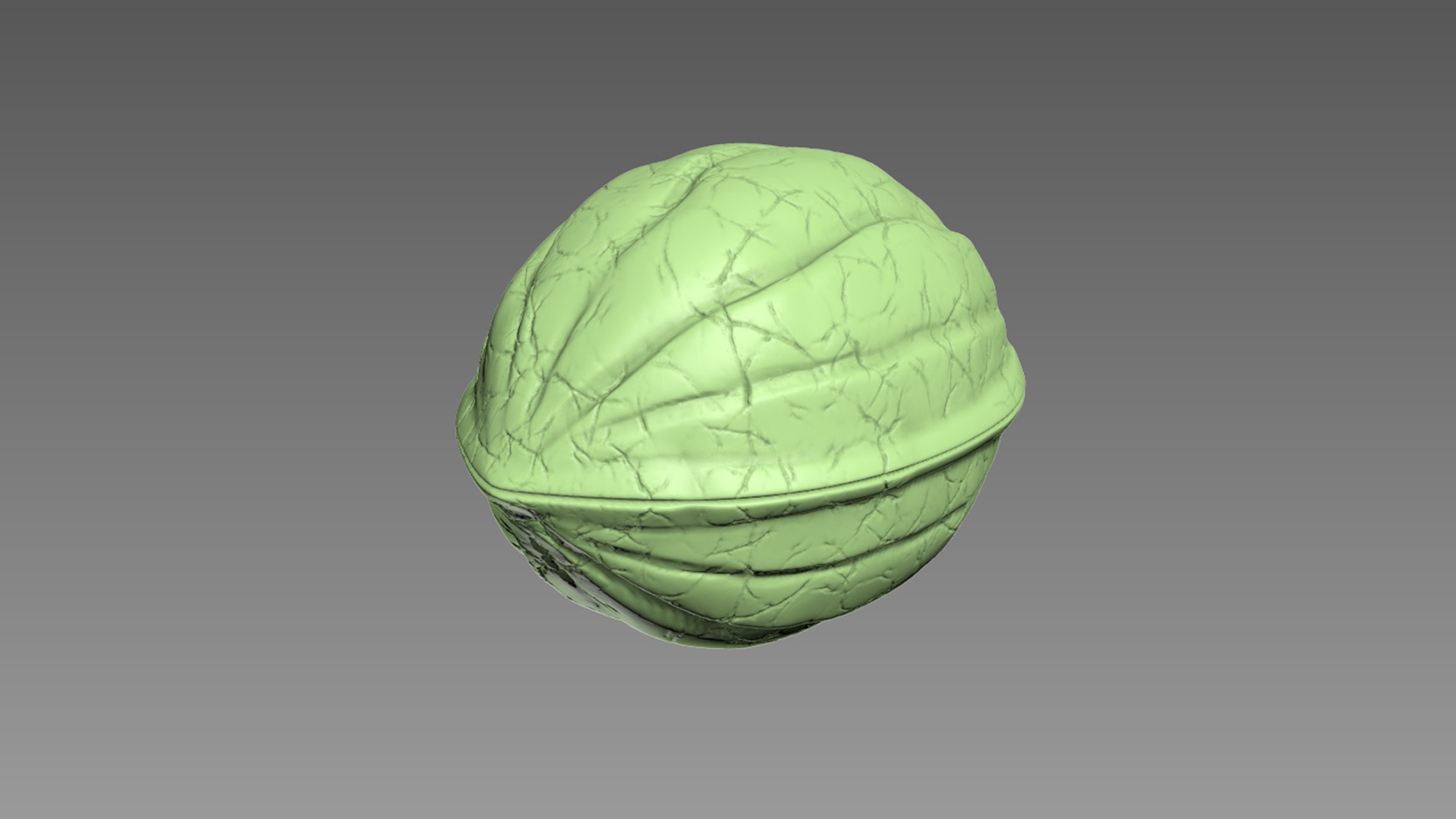 3D Nut Shell - TurboSquid 2129395