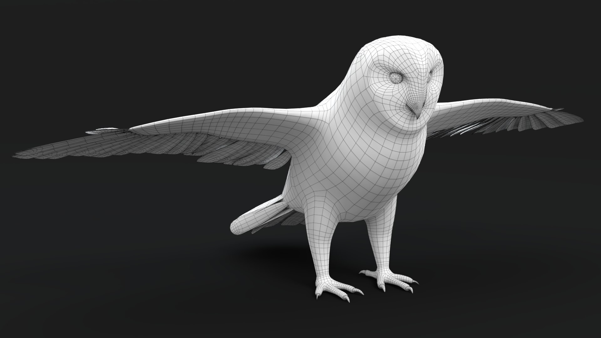 3D Barn Owl - TurboSquid 1514099