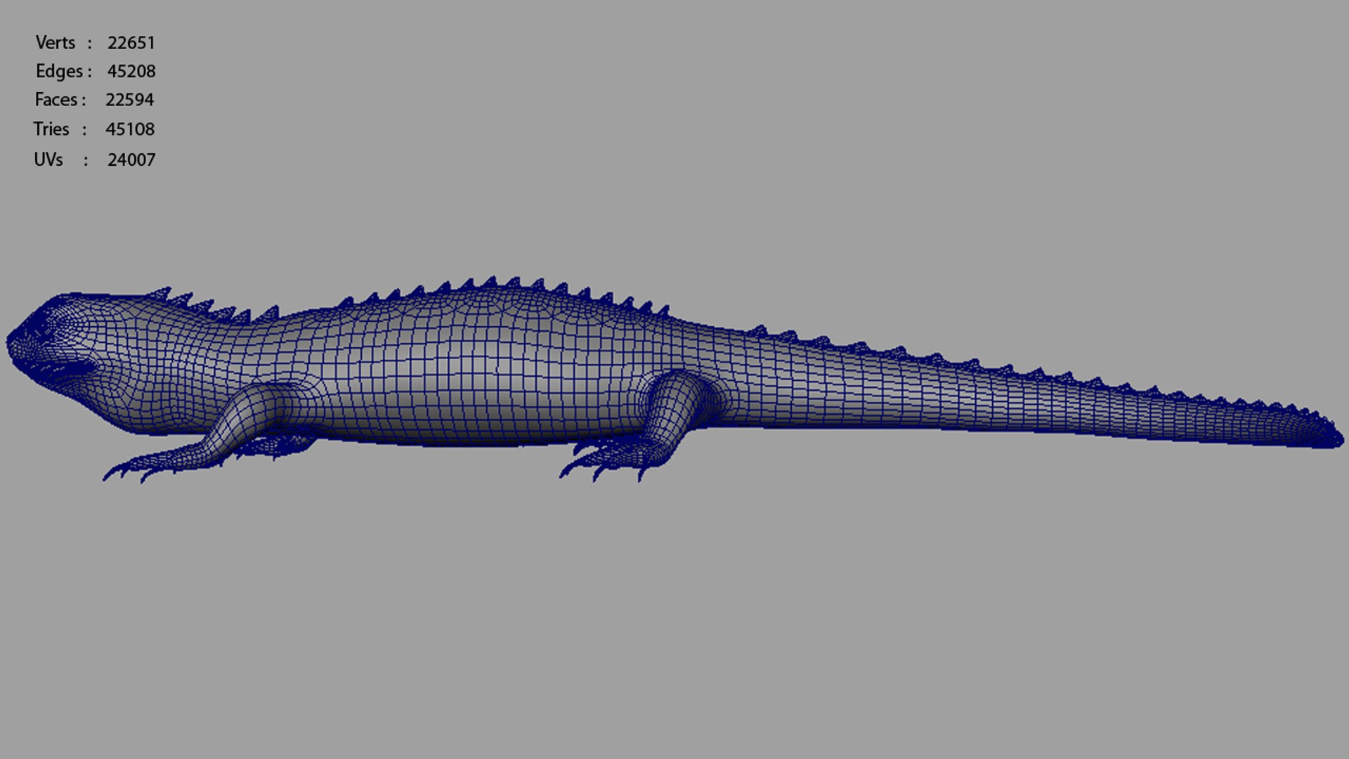 3d Tuatara Sphenodon Punctatus Lizards