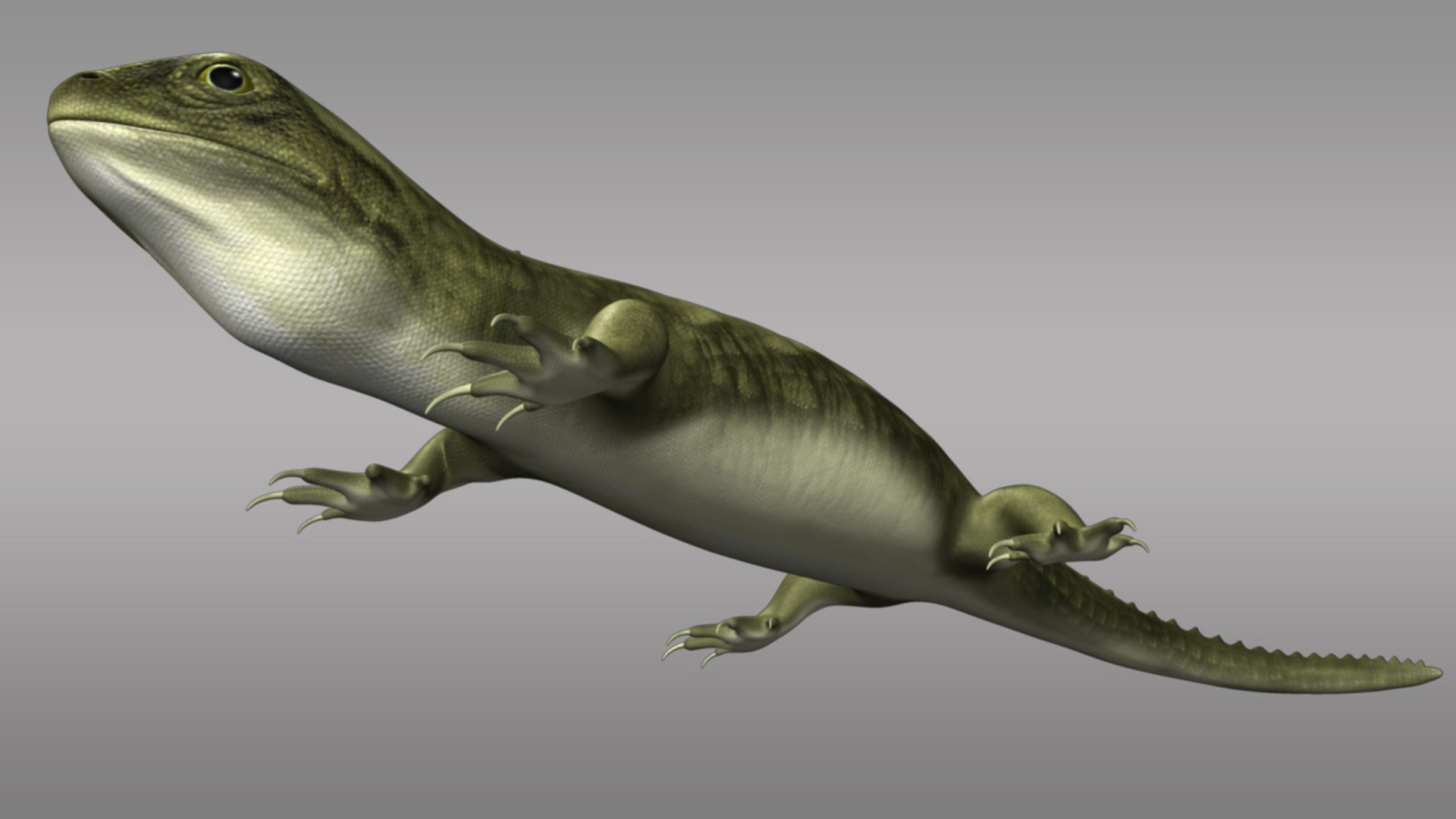 3d Tuatara Sphenodon Punctatus Lizards