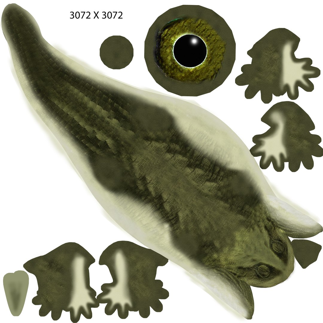 3d Tuatara Sphenodon Punctatus Lizards