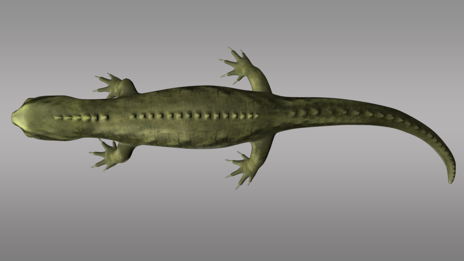 3d Tuatara Sphenodon Punctatus Lizards