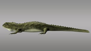 3D Tuatara Models - Browse & Download Formats - TurboSquid