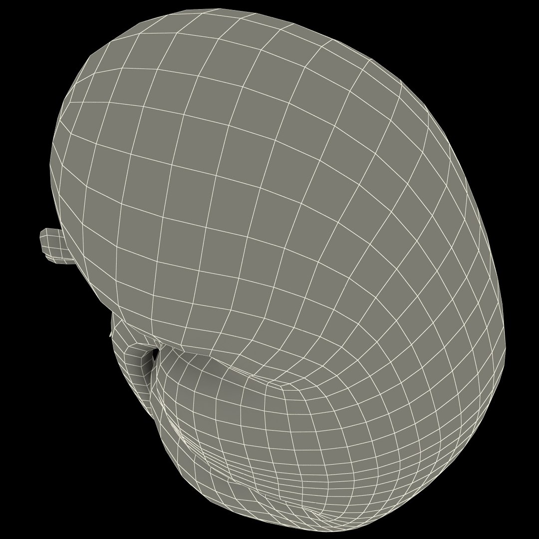 3d model of kidney display modeled