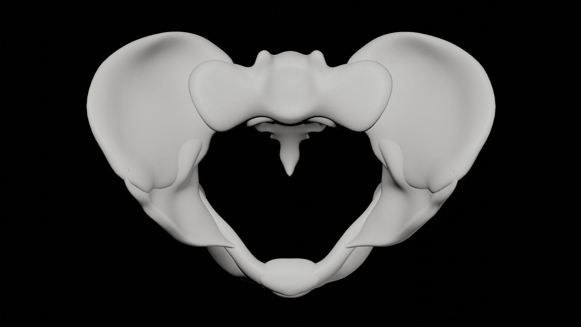 Human Pelvis Model - TurboSquid 1739142