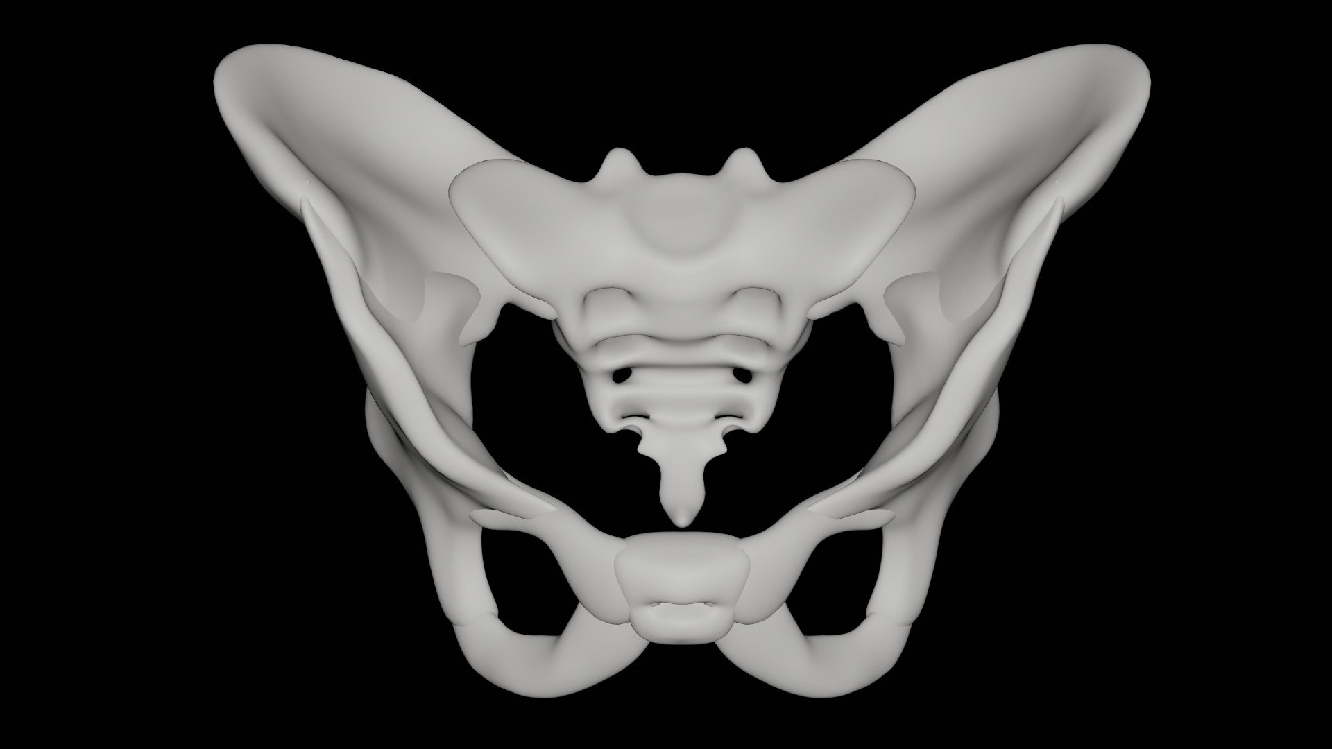 Human Pelvis Model - TurboSquid 1739142