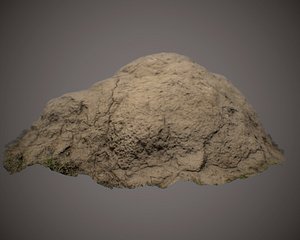Ant Hill 3D Models for Download | TurboSquid