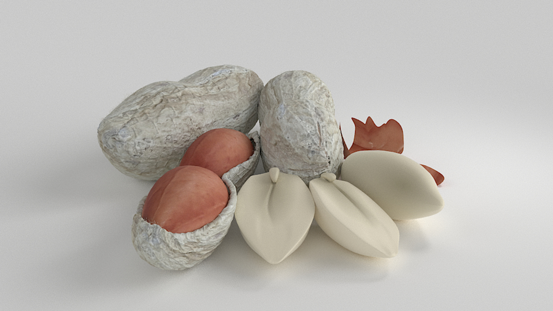 Realistic Peanut 3d Obj