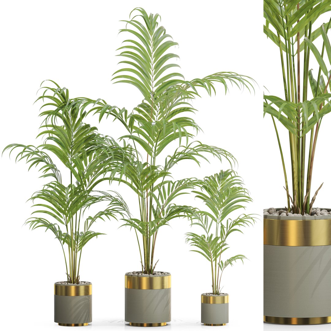 Plants collection 654 3D - TurboSquid 1867816