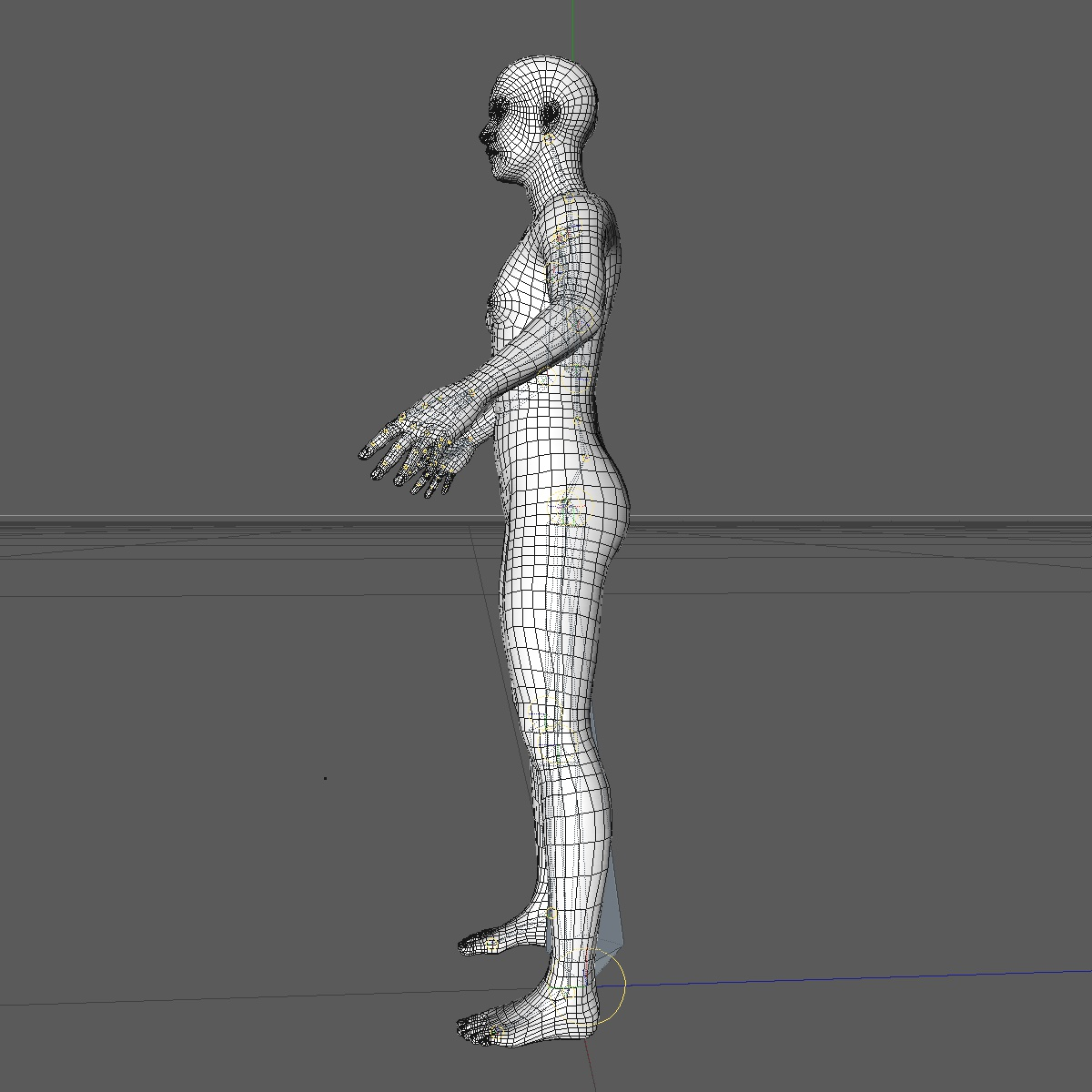 Realistic human body 25 model - TurboSquid 1260197
