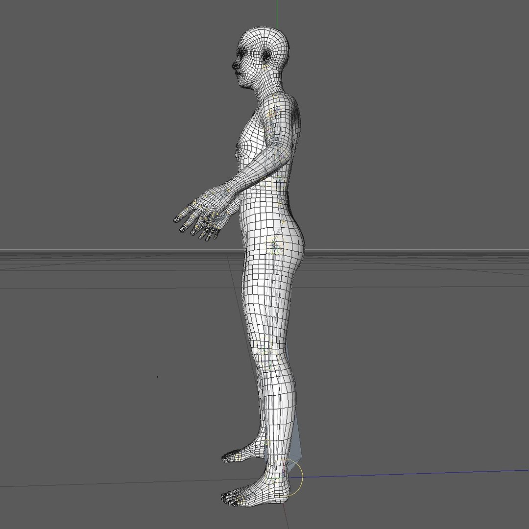 Realistic Human Body 25 Model - TurboSquid 1260197