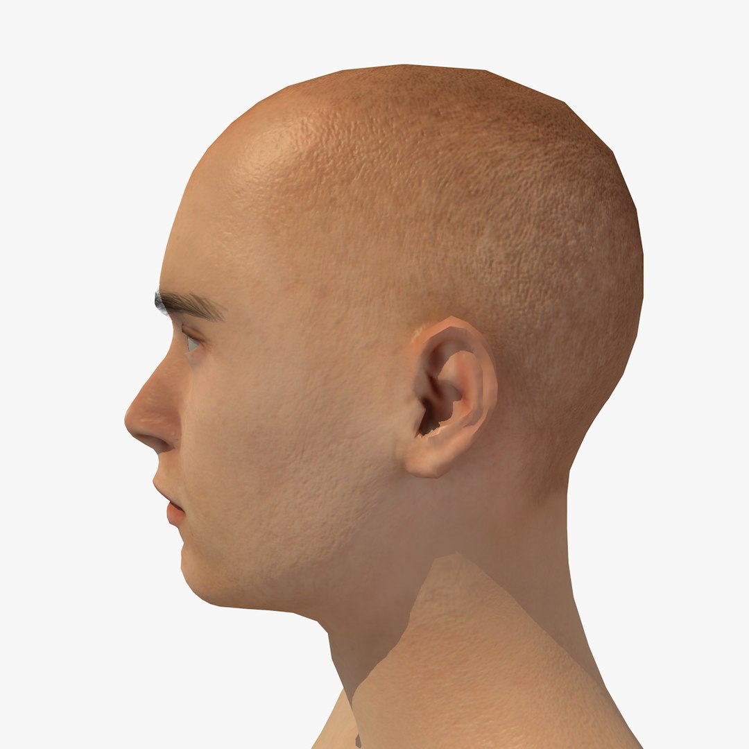 Realistic Human Body 25 Model - TurboSquid 1260197