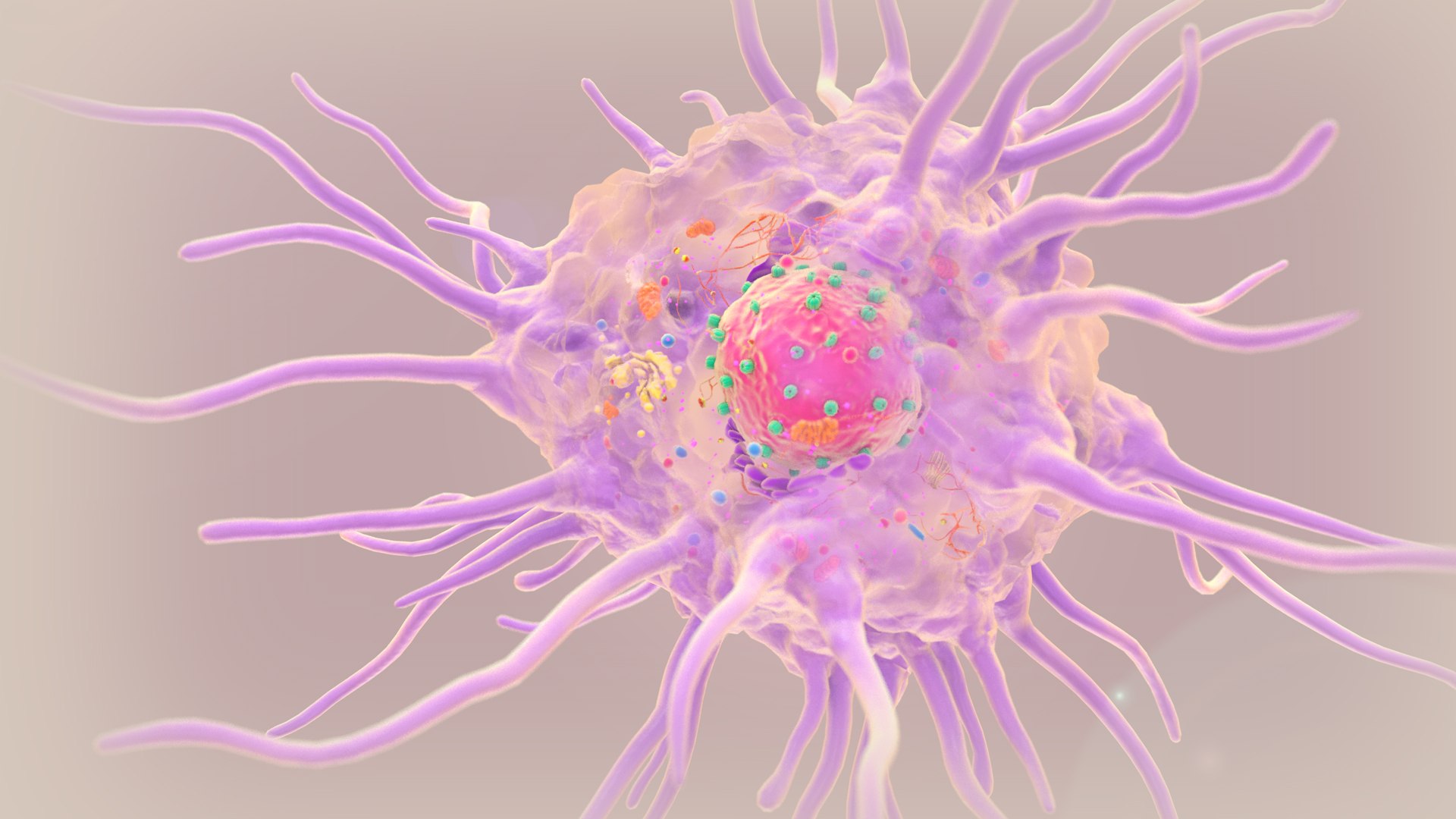 dendritic cell labeled