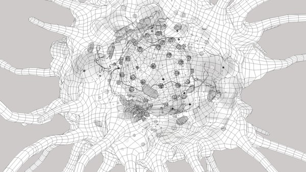 modelo 3d Estructura de células dendríticas - TurboSquid 2225872
