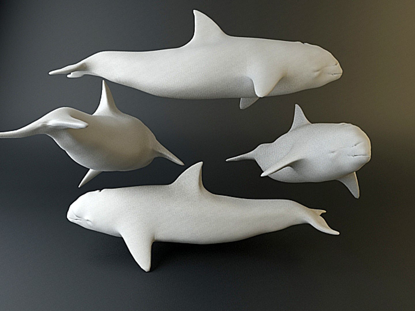 Artic Dolphin 3d Max