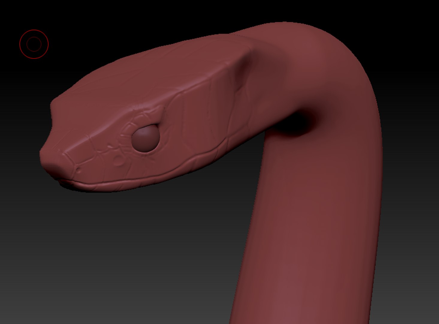 3D Snake Base Mesh Model - TurboSquid 2407832