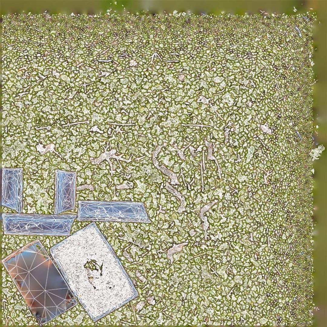 Carmona Bonsai Tree Carmonas Carmona Microphylla Remastered 3D ...