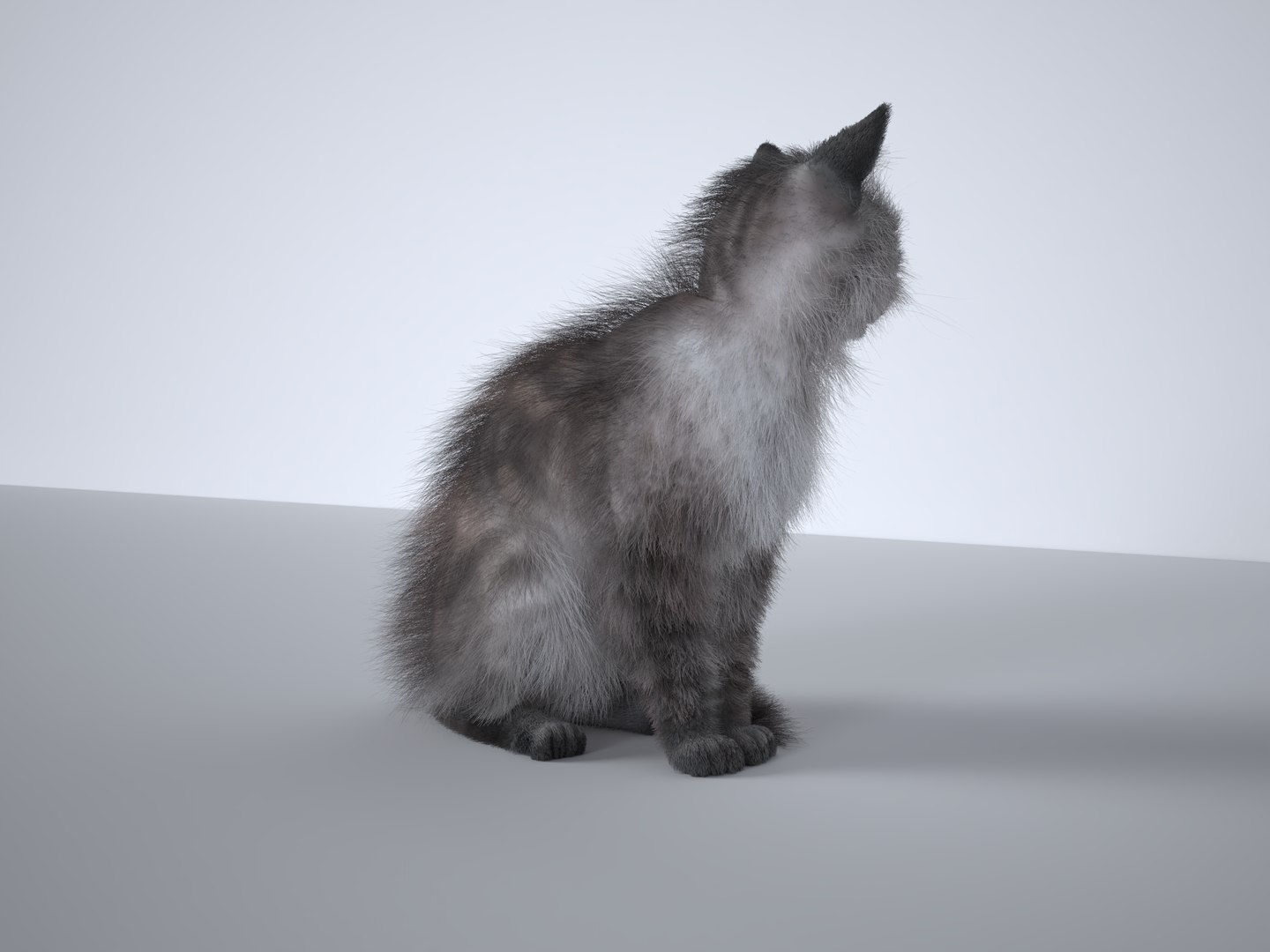 3D Realistic 3D Cat Model - TurboSquid 2281895