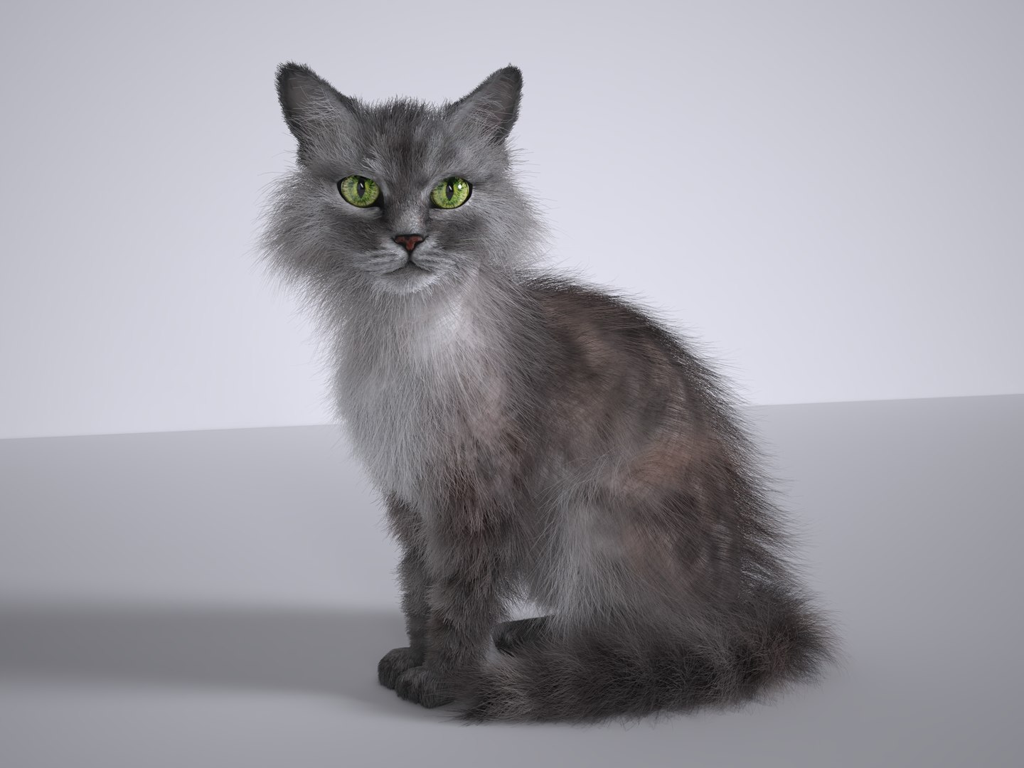3D Realistic 3D Cat Model - TurboSquid 2281895