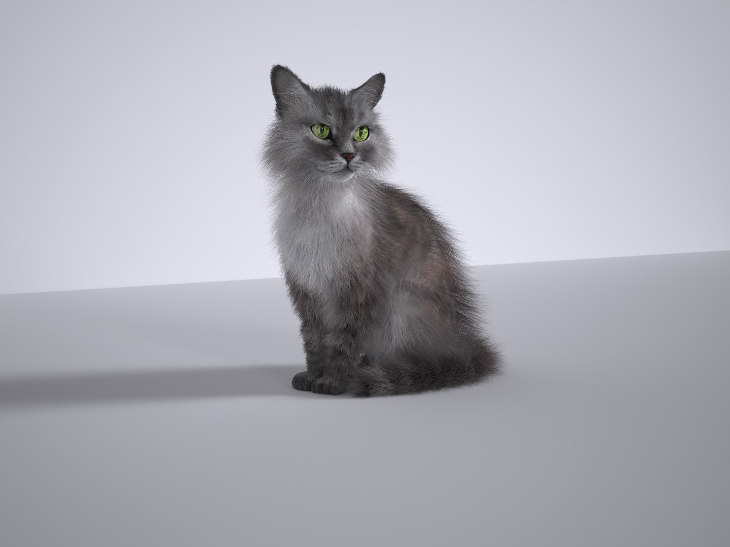 3D Realistic 3D Cat Model - TurboSquid 2281895