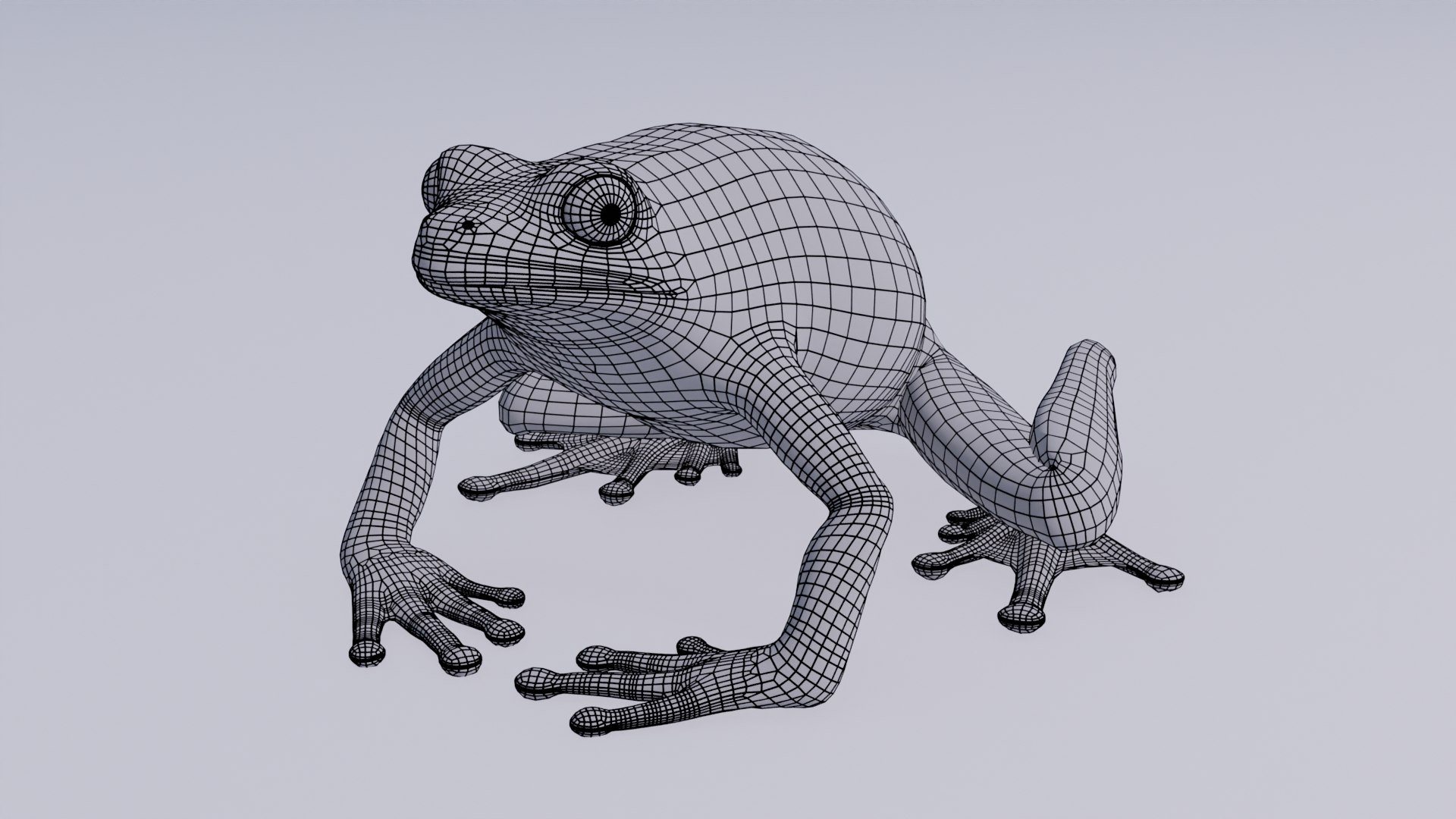 3D American Green Tree Frog - Rigged model - TurboSquid 2031777