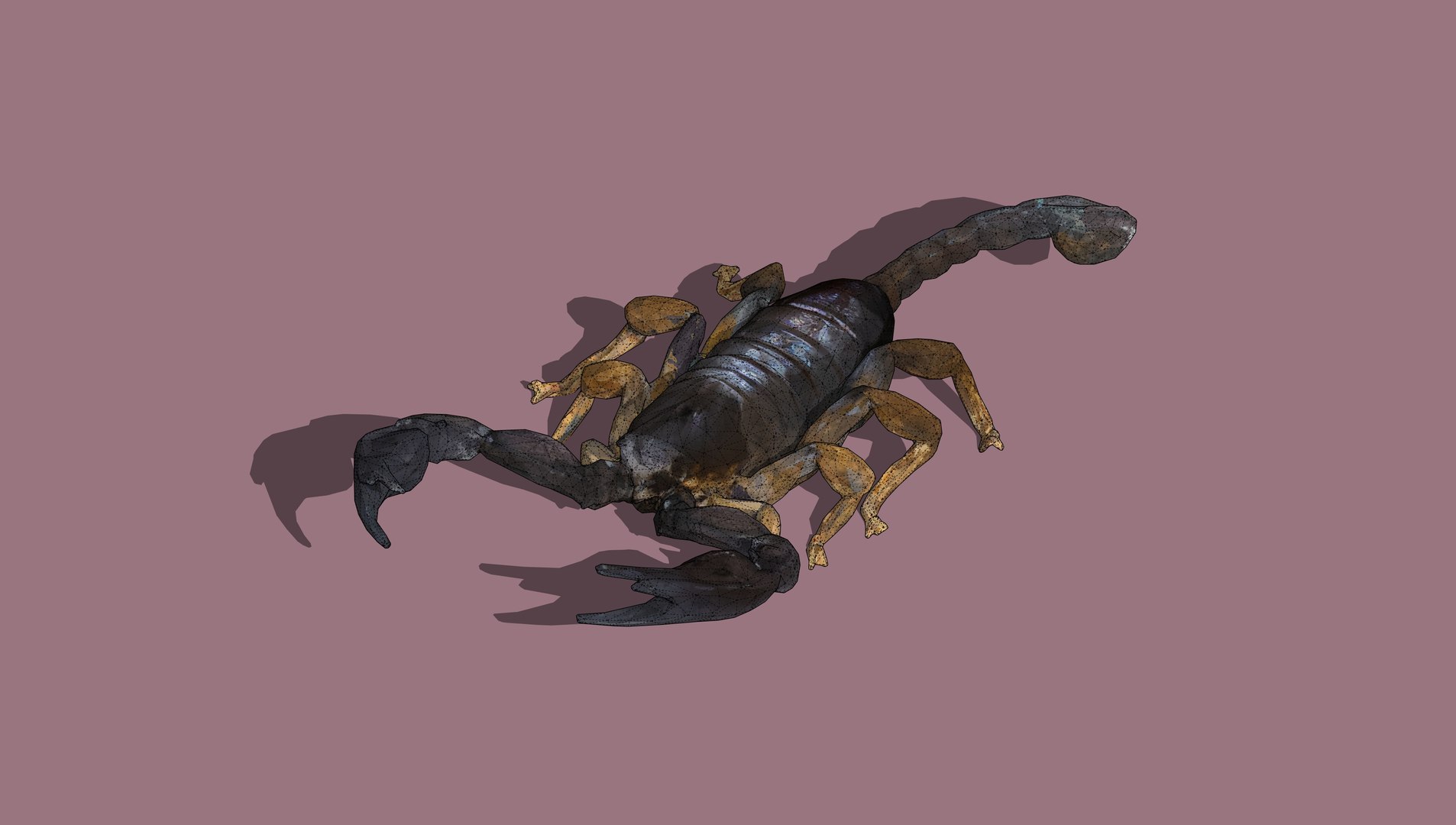 3D Scorpion Model - TurboSquid 2387809