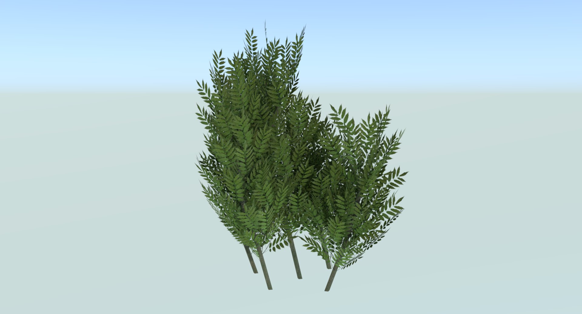 3d ready bush