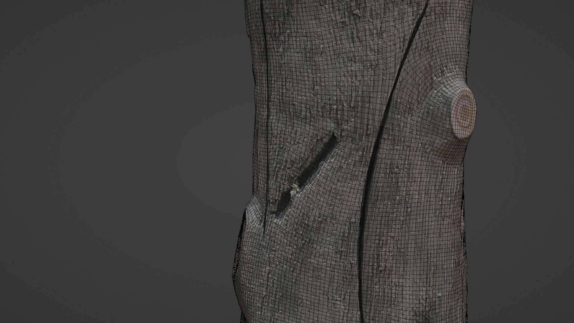 3D Stylized Log Model - TurboSquid 2330041