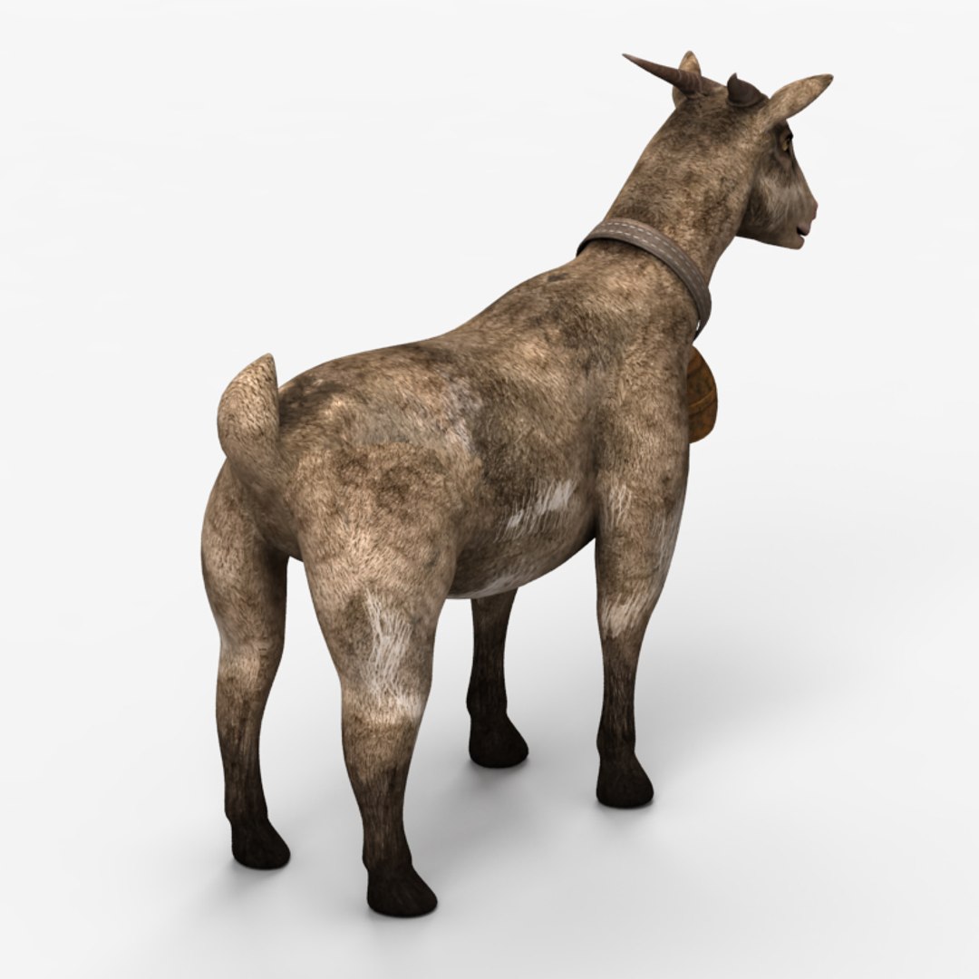 3d Model Goat